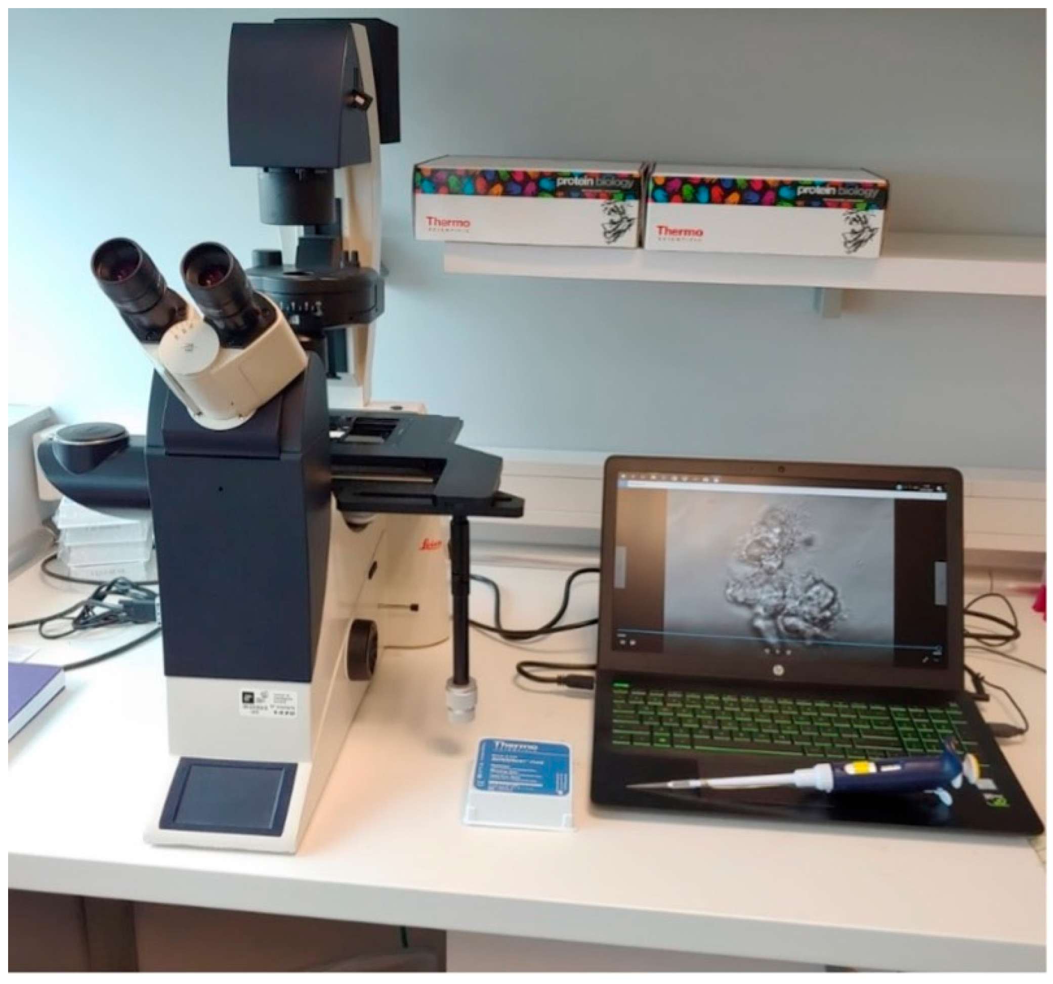 Ciliary Motility and Ultrastructure in Bronchial Epithelium of Lung ...