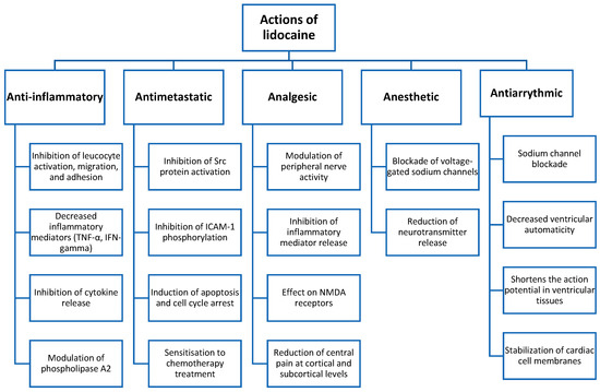 Anti-Inflammatory and Immunomodulatory Effects of Intravenous Lidocaine in Surgery: A Narrative ...