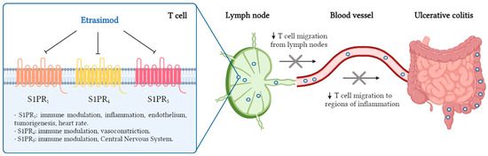 Etrasimod: Modulating Sphingosine-1-Phosphate Receptors to Treat ...
