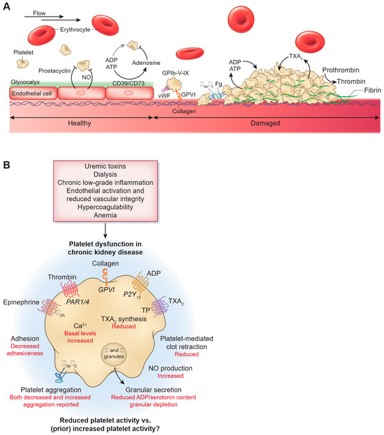 Antithrombotic Therapy in Acute Coronary Syndrome Patients with End ...