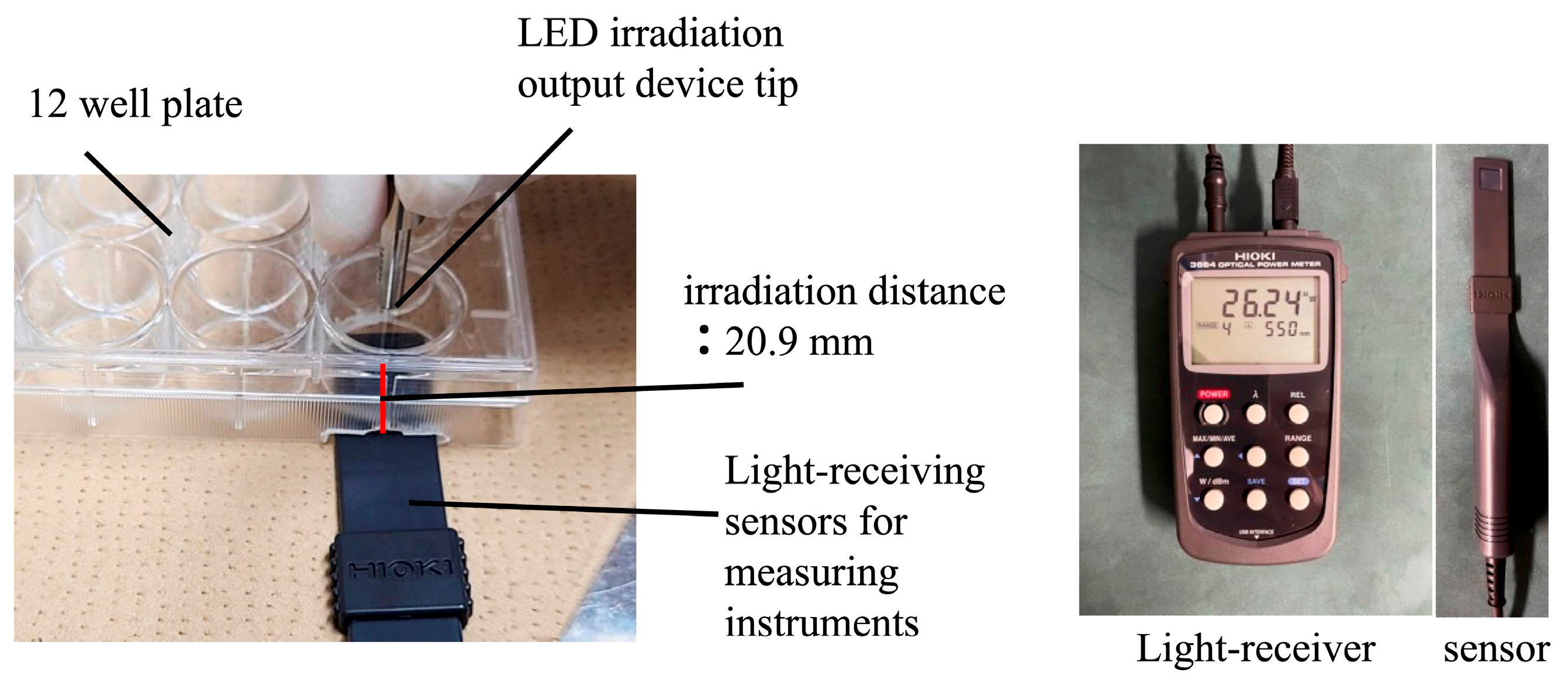 Photobiomodulatory Effects of Low-Power LED Light on Cultured Human ...