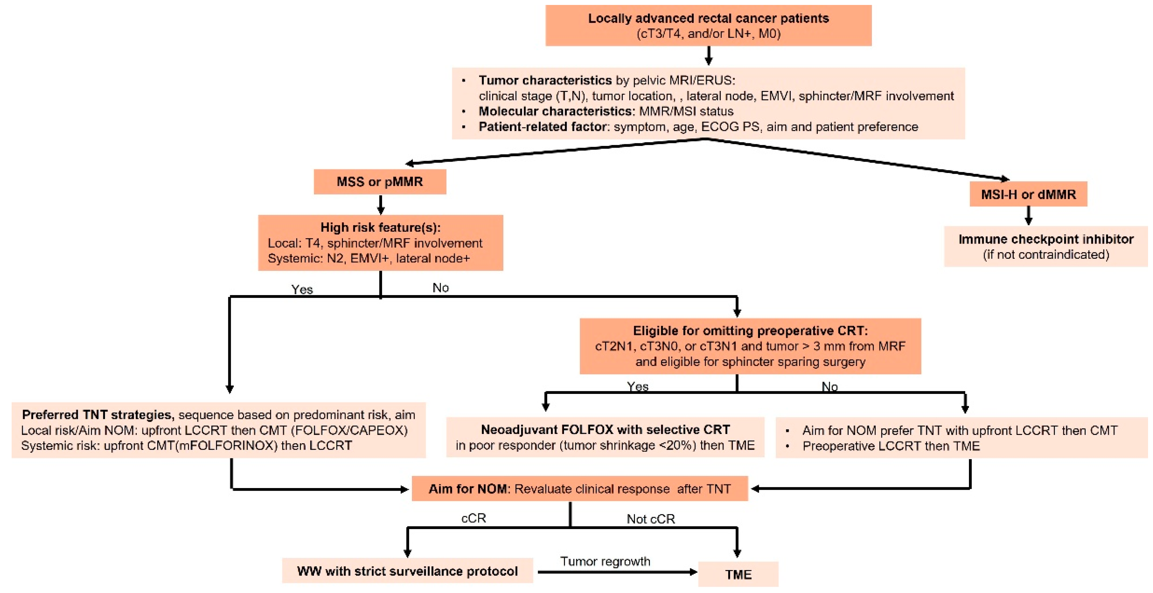 Personalized Treatment Modalities for Rectal Cancer: Advances in ...