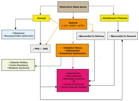 Role of Free Radicals in the Pathophysiology of OSA: A Narrative Review ...