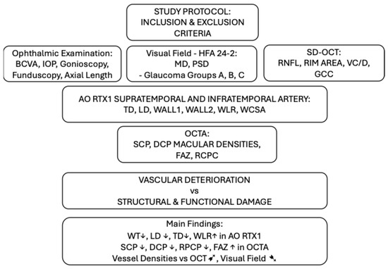 Assessment of Retinal Microcirculation in Primary Open-Angle Glaucoma ...