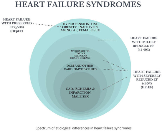 Cardiac Imaging in the Diagnosis and Management of Heart Failure