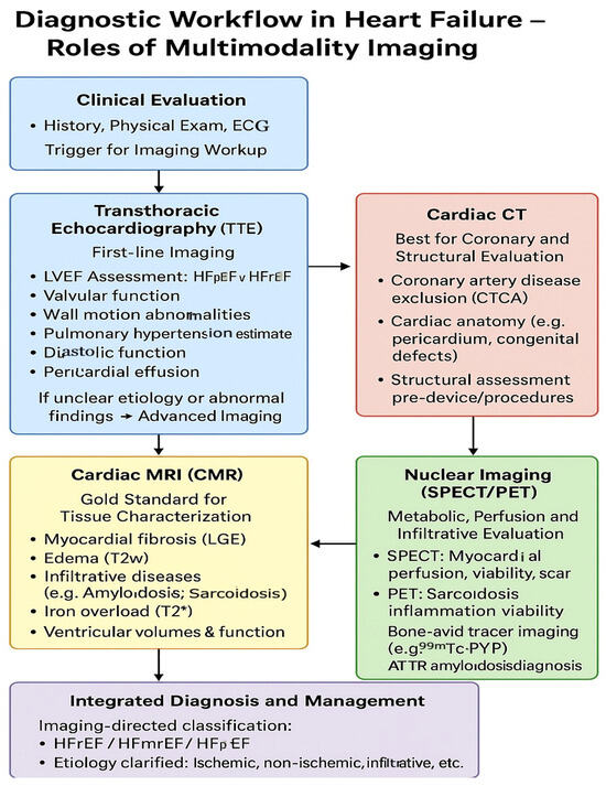 Cardiac Imaging in the Diagnosis and Management of Heart Failure