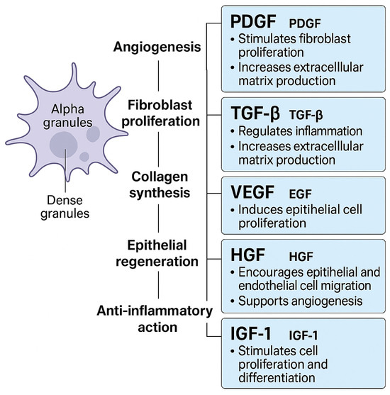 Application of Platelet-Rich Plasma in Gynaecologic Disorders: A ...