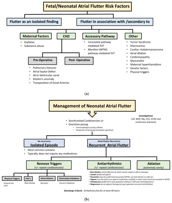 Evaluation and Management of Recurrent Atrial Flutter in Neonates