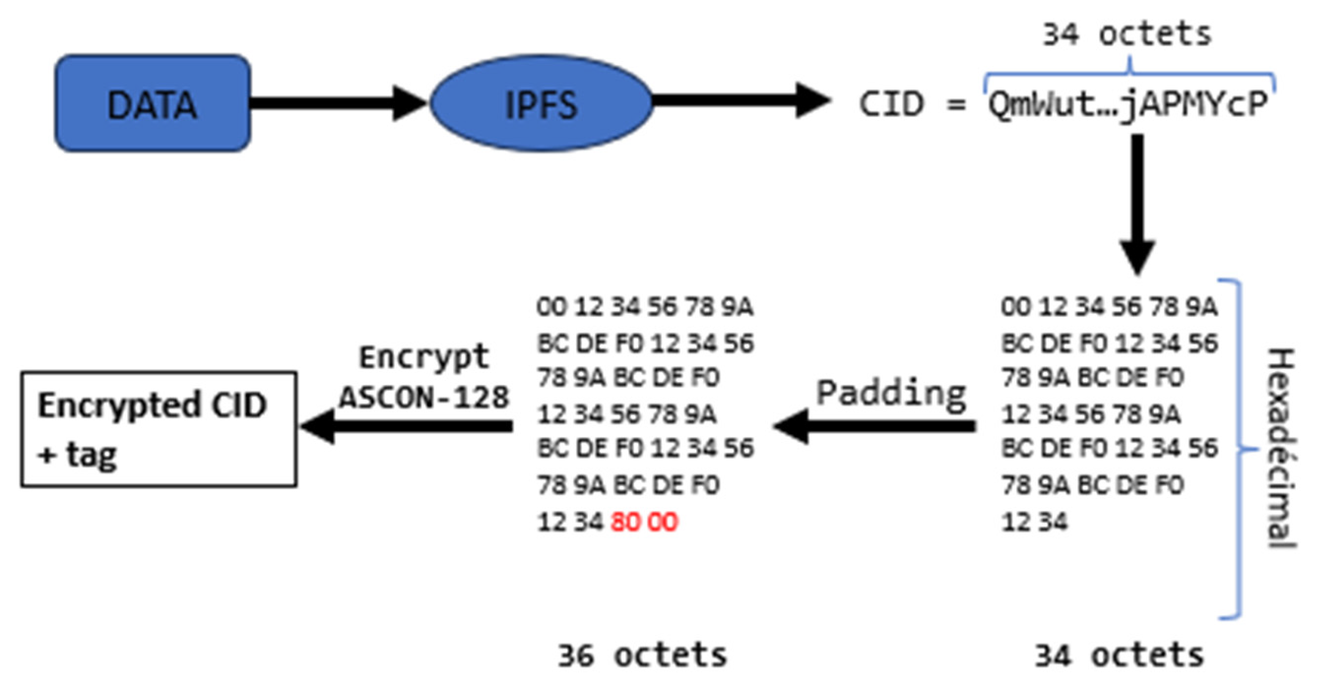 Decentralized Blockchain-Based Authentication and Interplanetary File System-Based Data ...