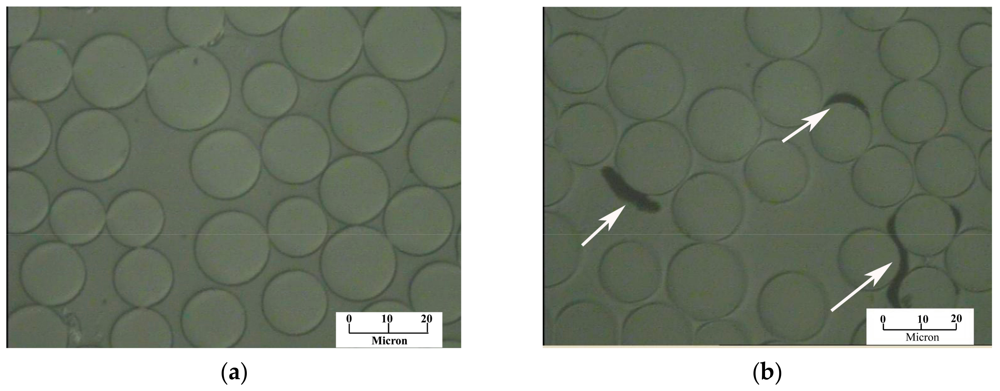 J. Compos. Sci. | Free Full-Text | Creep Behavior of Resin Matrix and ...