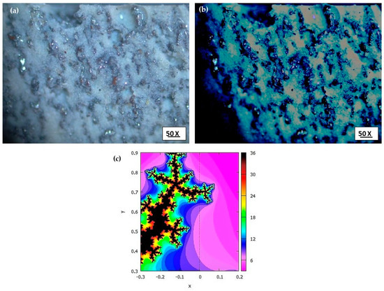 The Magneto-Mechanical Behavior of Active Components in Iron-Elastomer ...