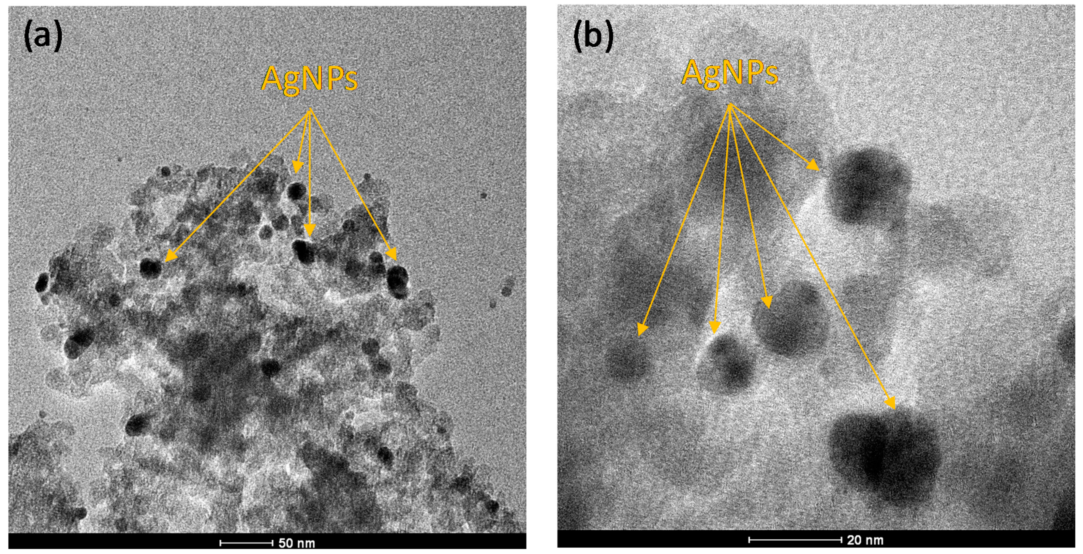 Antibacterial Activity of TiO2- and ZnO-Decorated with Silver Nanoparticles