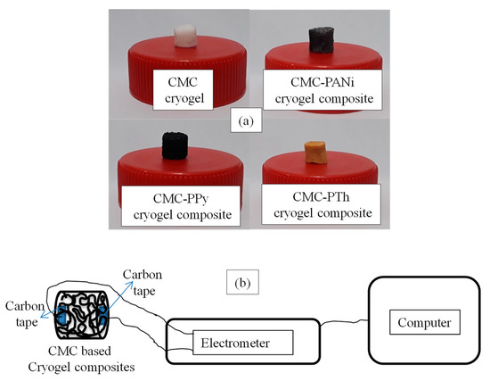 Polymeric Composites Based on Carboxymethyl Cellulose Cryogel and ...
