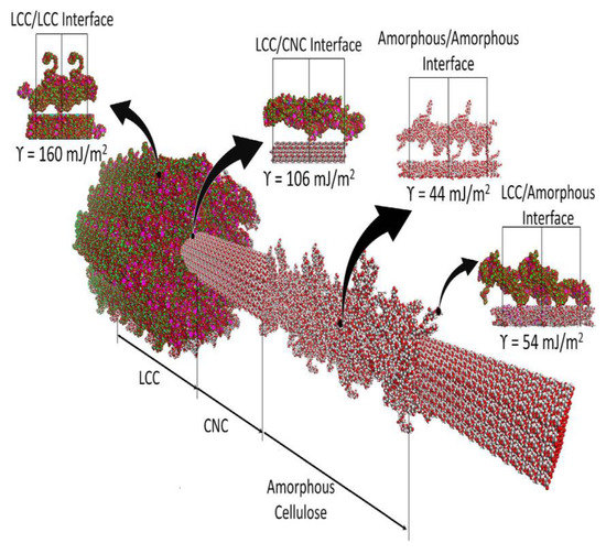 On the Use of Molecular Dynamics Simulations for Elucidating Fine ...