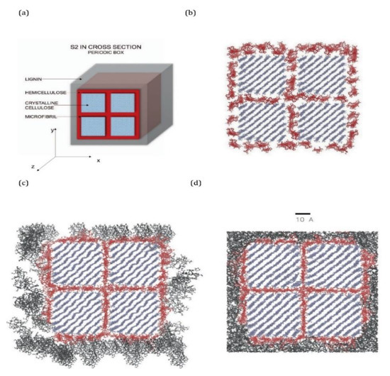 On the Use of Molecular Dynamics Simulations for Elucidating Fine Structural, Physico-Chemical ...