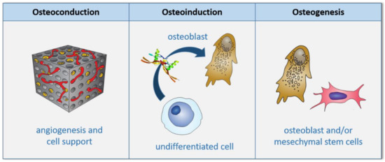 Materials and Manufacturing Techniques for Polymeric and Ceramic ...