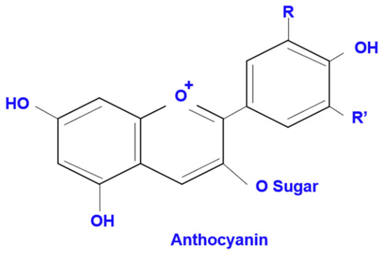 Advances on Dye-Sensitized Solar Cells (DSSCs) Nanostructures and ...