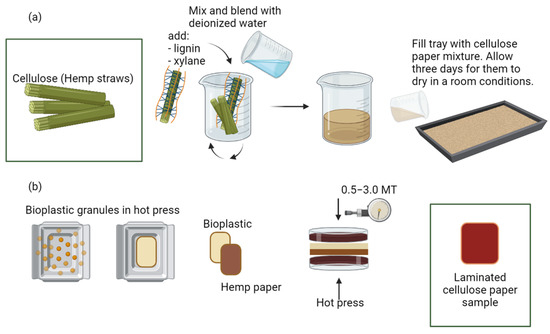 Lamination of Cast Hemp Paper with Bio-Based Plastics for Sustainable ...