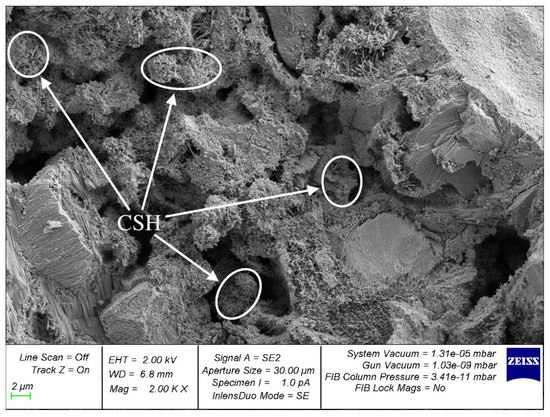 Influence of Electromagnetic Activation of Cement Paste and Nano ...