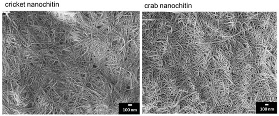 Preparation of Nanochitin from Crickets and Comparison with That from ...