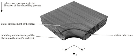 Damage Analysis of Thermoplastic Composites with Embedded Metal Inserts ...
