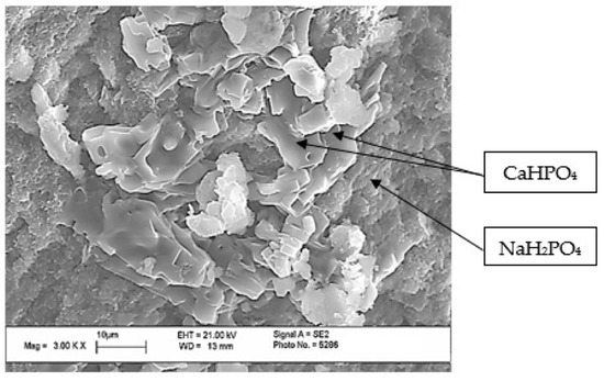 Ceramics Based on Sodium Rhenanite CaNaPO4, Obtained via Firing of ...