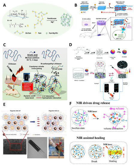 Biomimetic Hierarchical Nanocomposite Hydrogels: From Design to ...
