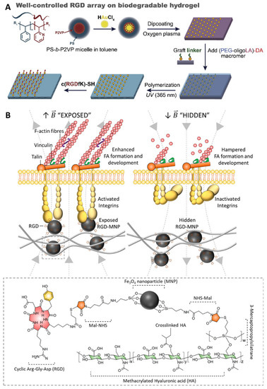 Biomimetic Hierarchical Nanocomposite Hydrogels: From Design to ...