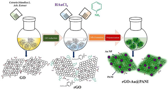 Cutting-Edge Green Polymer/Nanocarbon Nanocomposite for Supercapacitor ...