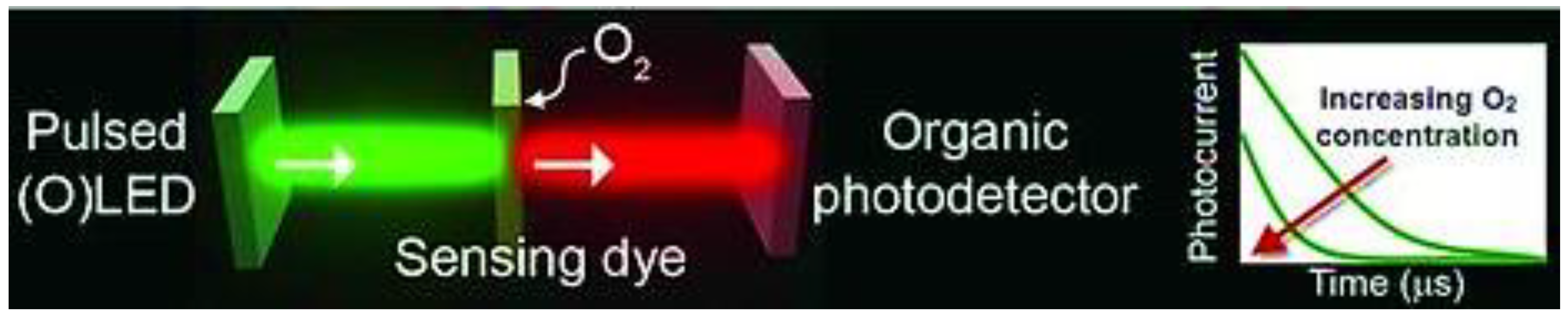 Polymer/Fullerene Nanocomposite for Optoelectronics—Moving toward Green ...