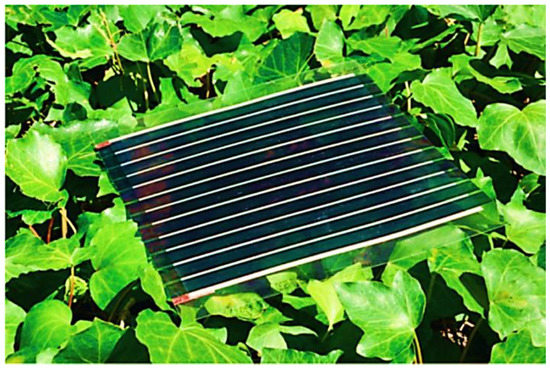 Polymer/Fullerene Nanocomposite for Optoelectronics—Moving toward Green Technology