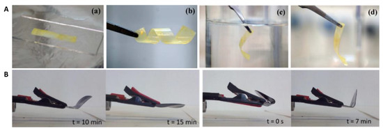 J. Compos. Sci. | Free Full-Text | Shape Memory Polymeric Materials for ...