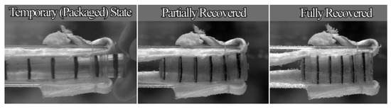 J. Compos. Sci. | Free Full-Text | Shape Memory Polymeric Materials for ...