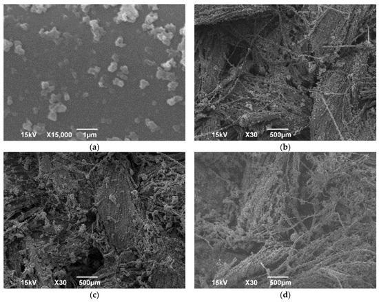 Impact Resistant Flax Fiber Fabrics Using Shear Thickening Fluid