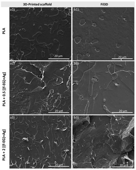 J. Compos. Sci. | Free Full-Text | Engineering Ligament Scaffolds Based ...