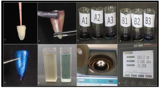 Comparative Evaluation of the Sealing Ability of a BioCeramic Sealer ...