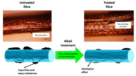 Recent Trends in Treatment and Fabrication of Plant-Based Fiber ...