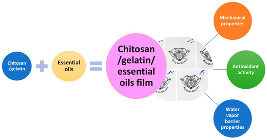 Essential Oil-Added Chitosan/Gelatin-Based Active Packaging Film: A Comparative Study