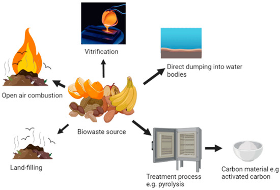 Treatment of Biowaste for Electrodes in Energy Storage Applications: A ...