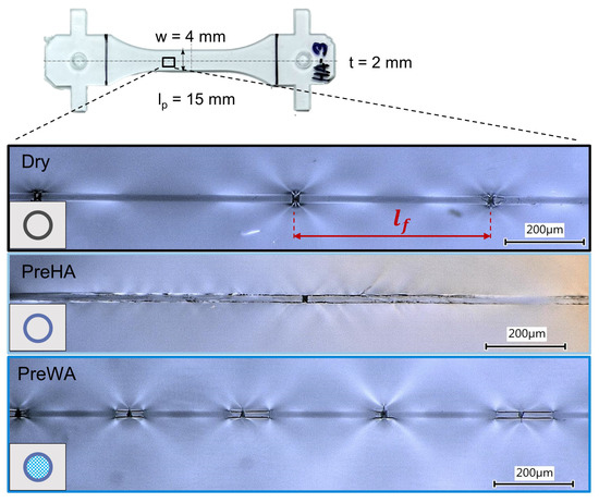 Influence of Sizing Aging on the Strength and Fatigue Life of ...