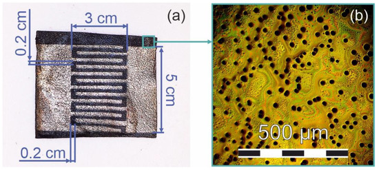 J. Compos. Sci. | Free Full-Text | Highly Selective Polyene-Polyyne ...