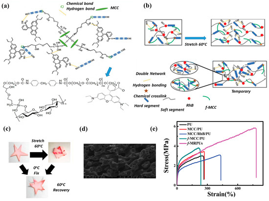 Nanocellulose-Based Thermoplastic Polyurethane Biocomposites with Shape ...