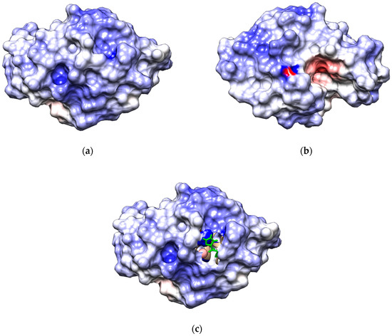 Spin Label Study of the Orientational Preferences of Lysozyme in a ...
