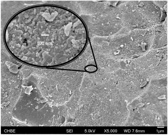 Unusual Micro Carbon Rods Formed from PET Plastic via Pyrolysis and ...