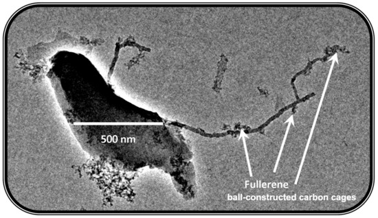 Unusual Micro Carbon Rods Formed from PET Plastic via Pyrolysis and ...
