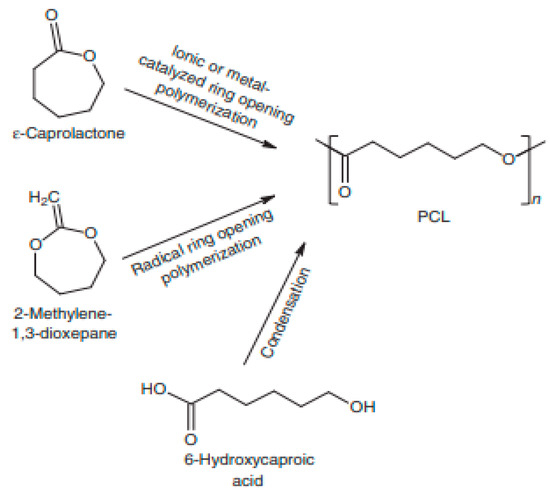 Bio-Based Sustainable Polymers and Materials: From Processing to ...