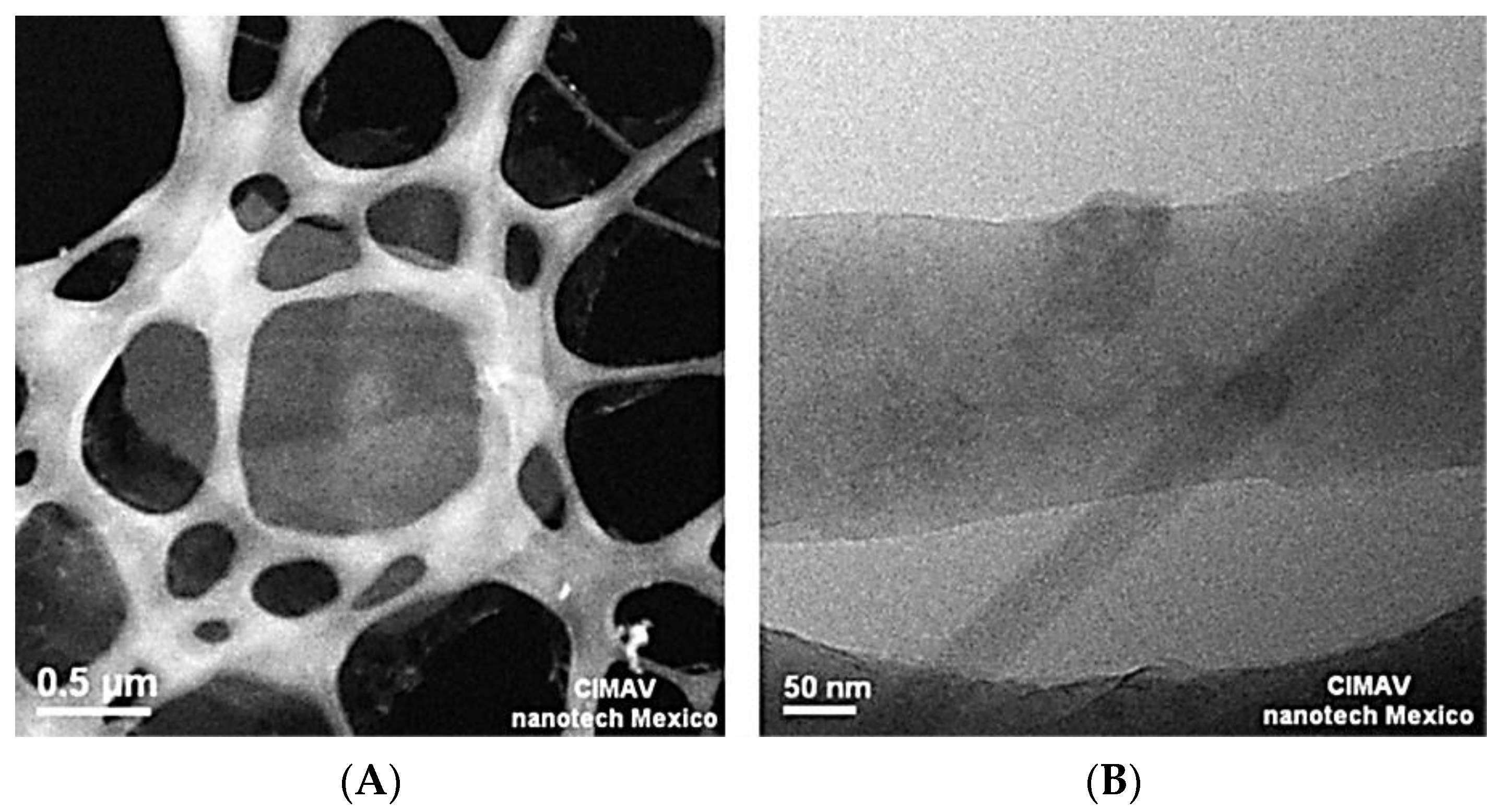 Electrospinning Processing of Polymer/Nanocarbon Nanocomposite ...