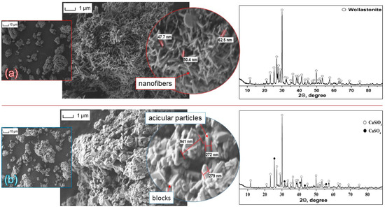 Study on the Impact of a Combination of Synthetic Wollastonite and 2-Mercaptobenzothiazole-Based ...