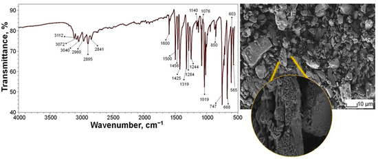 Study on the Impact of a Combination of Synthetic Wollastonite and 2-Mercaptobenzothiazole-Based ...