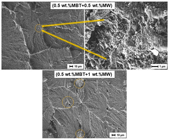 Study on the Impact of a Combination of Synthetic Wollastonite and 2-Mercaptobenzothiazole-Based ...